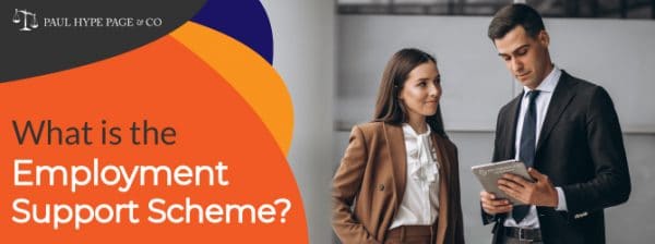 What is the Employment Support Scheme? | ESS 2020